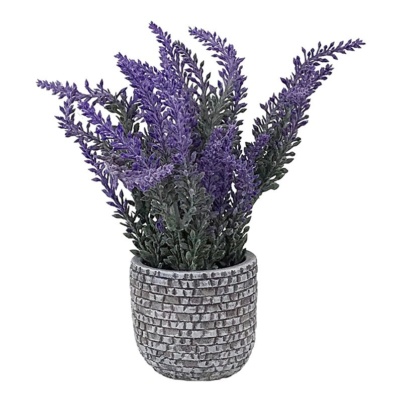 Ghiveci lavanda, 10x20 cm, mov-multicolor, ceramica si plastic, M2 ...