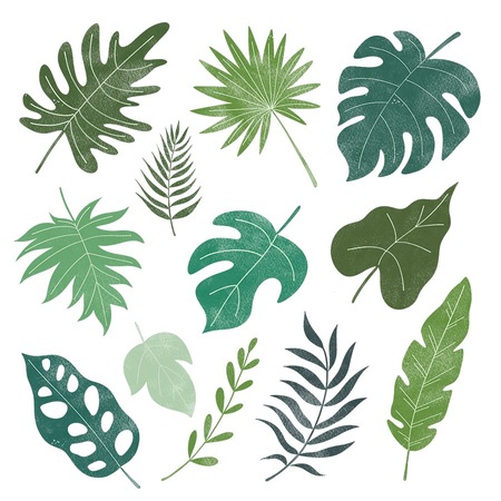 Sticker decorativ, Frunze Tropicale, 12317ST - eMAG.ro