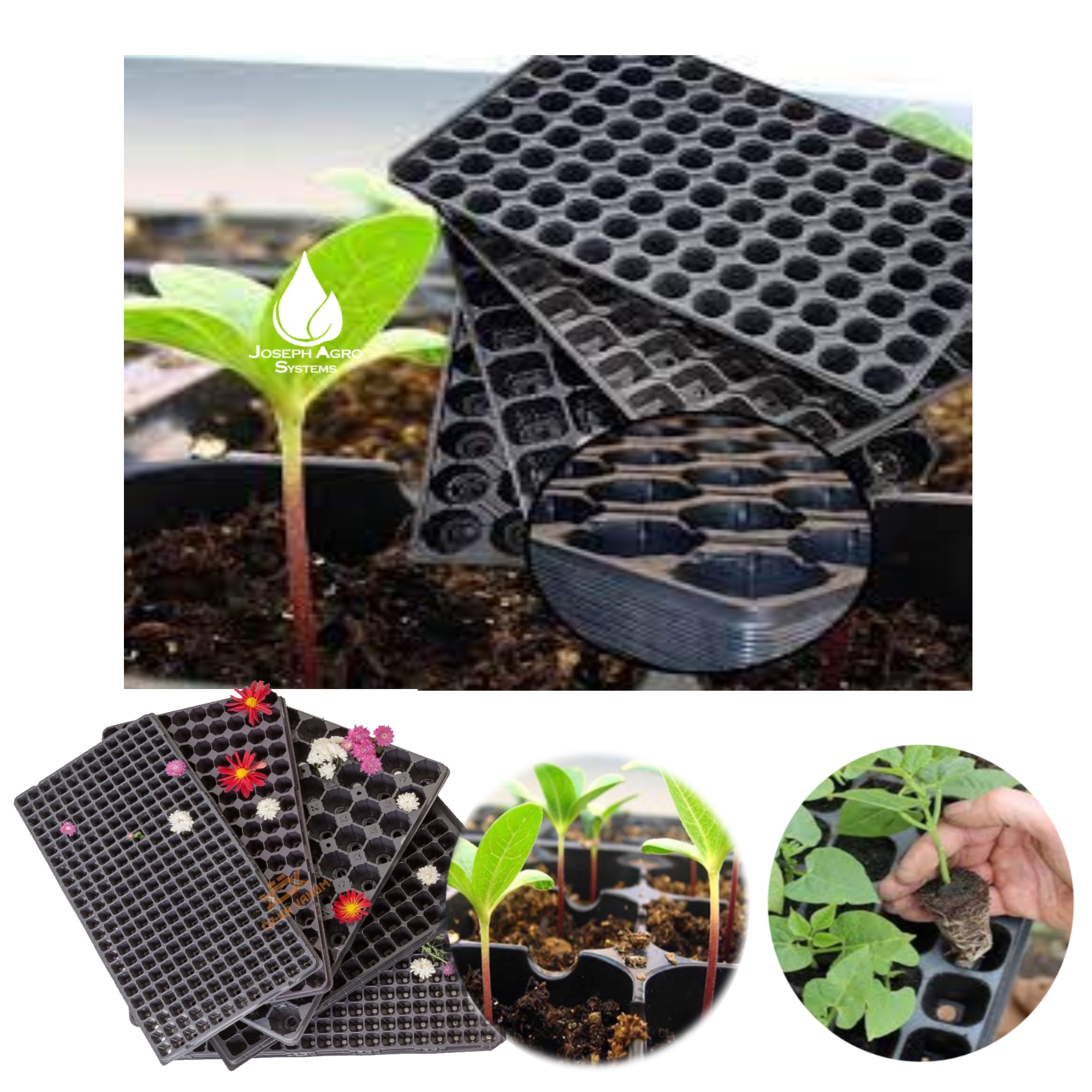 Tava rasad, pentru rasaduri, 24 alveole, 50 bucat - eMAG.ro