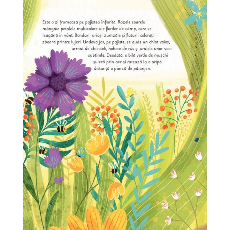 Pia Papadia. Botoseii furati, Anita Schmidt, Kathleen Freitag - eMAG.ro