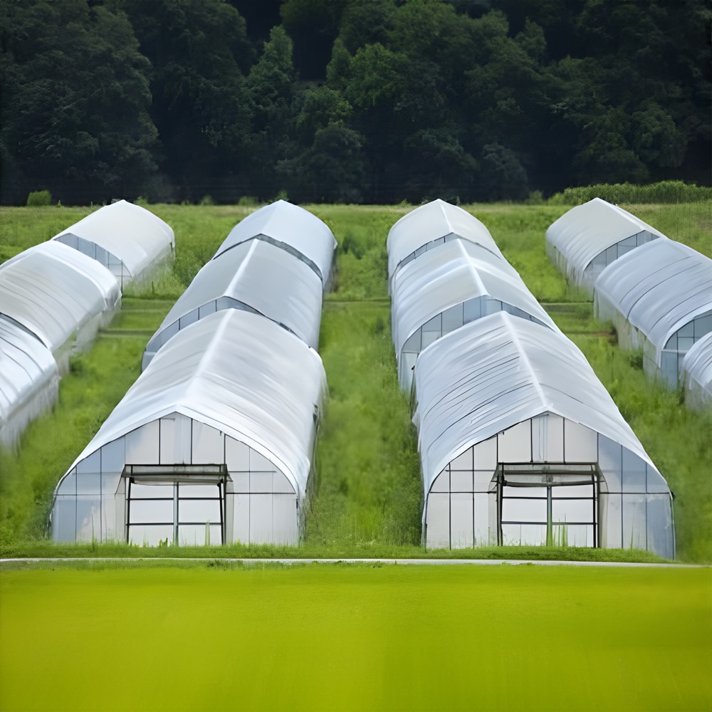 Folie acoperire solar / sera profesionala PERITA, 200 microni, 2.5 x 5 ...