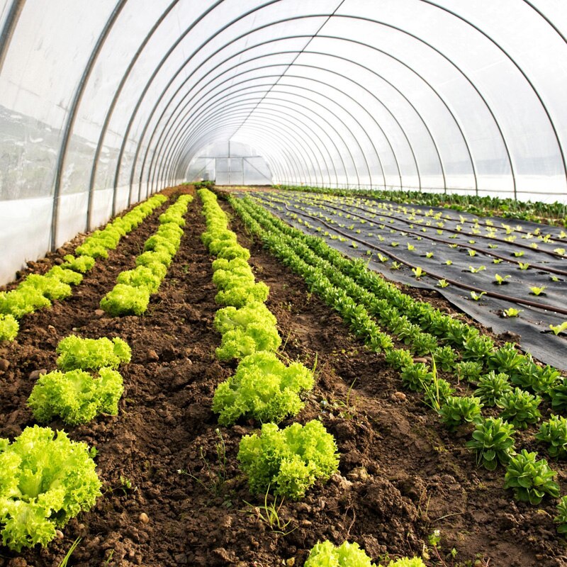 Folie agrotextil, PROCART, antiburuieni, 70 g/mp, 1.1 x 50 metri ...