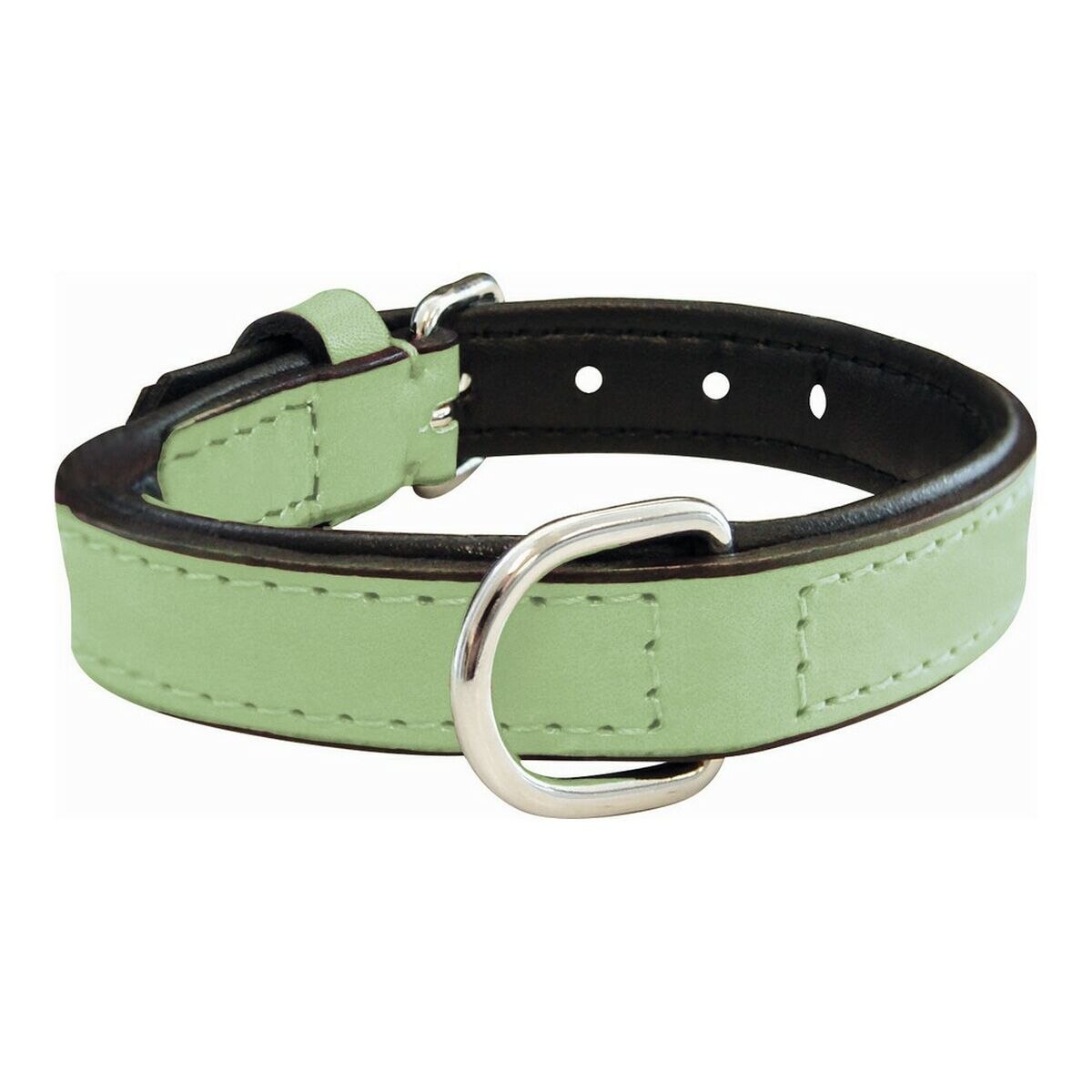 Zgarda pentru caini, Gloria, verde, 45x2cm - eMAG.ro