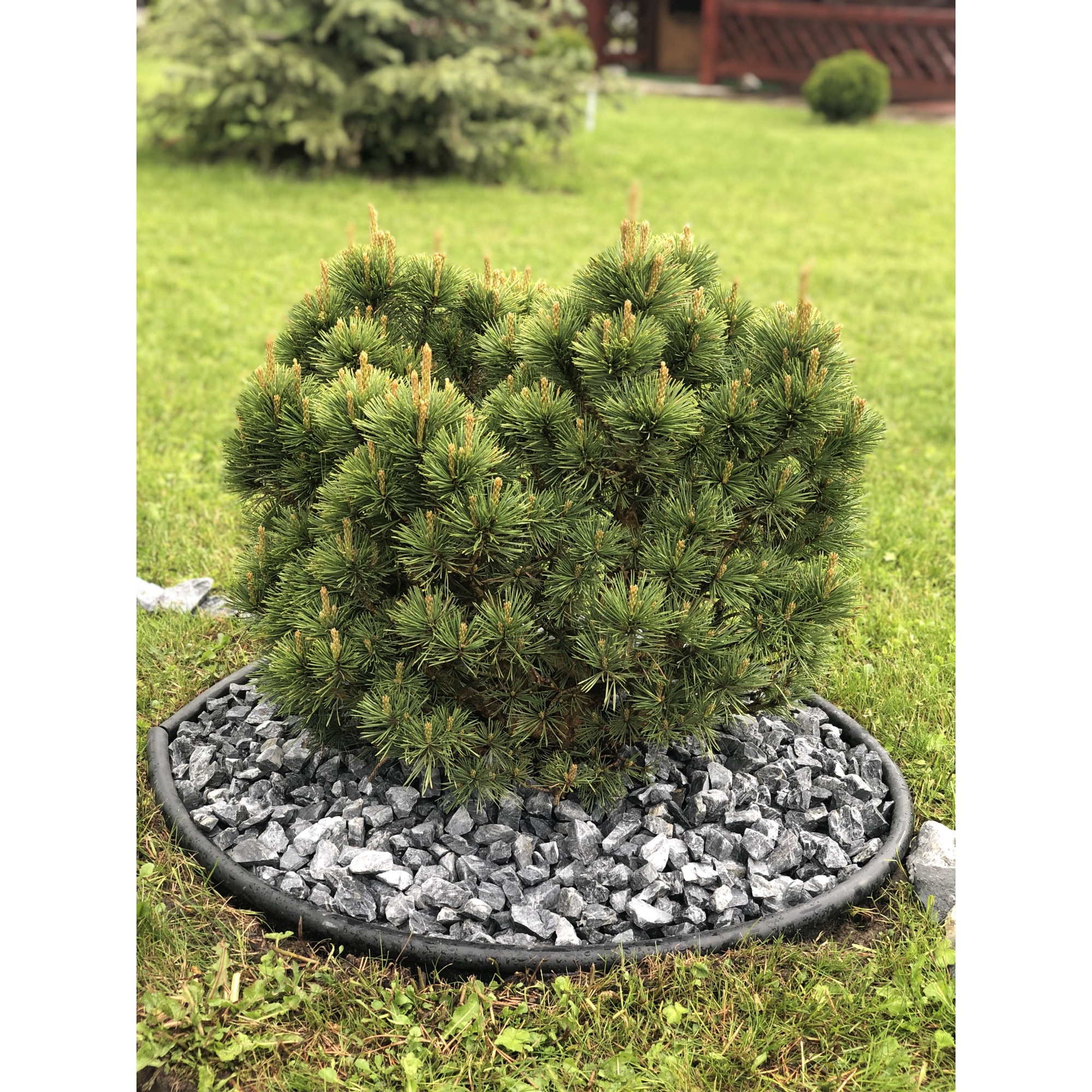 Piatra decorativa gradina, Producator Rotanis, Calcar Cristalin ...