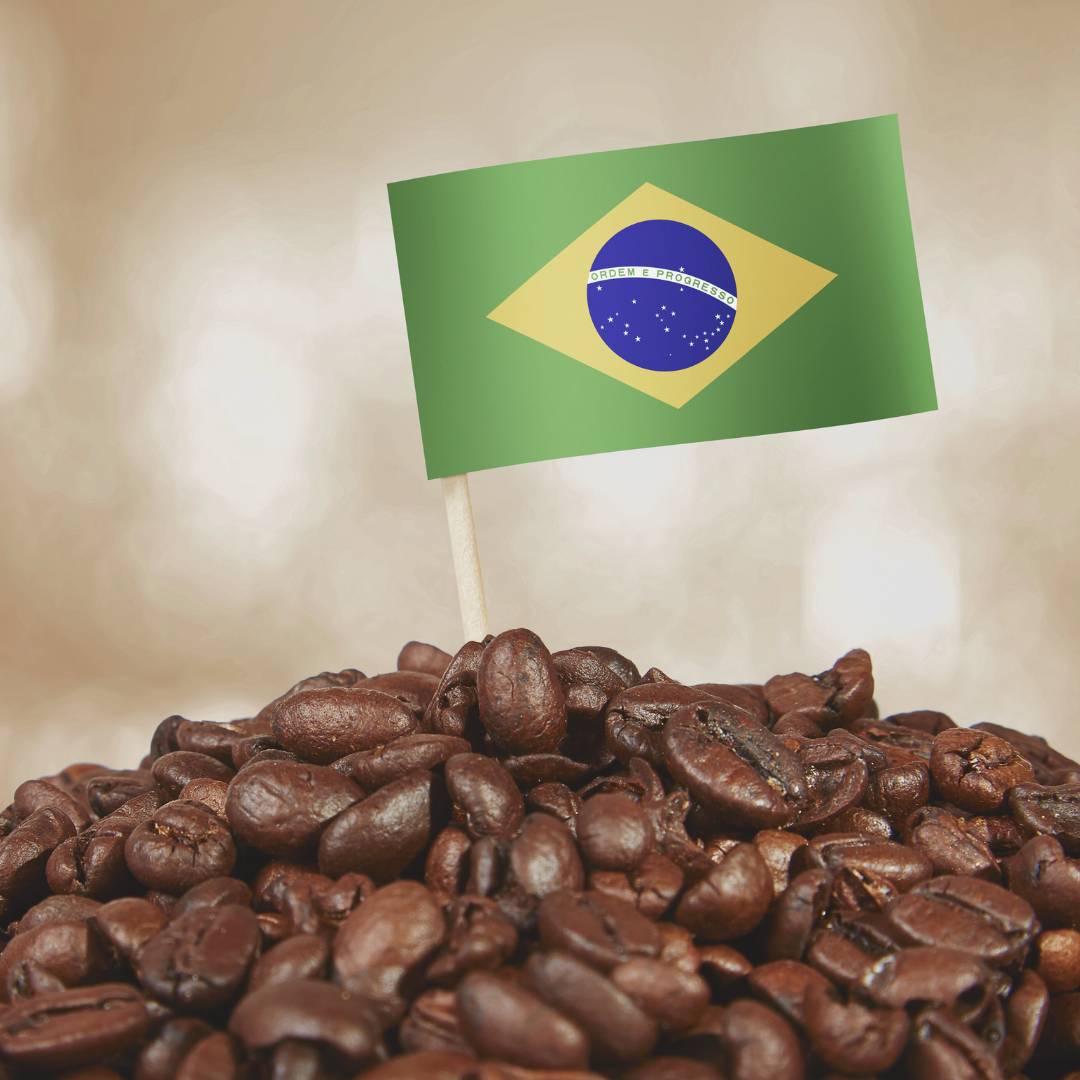 Cafea de Specialitate Boabe, Brazilia, 250g - eMAG.ro