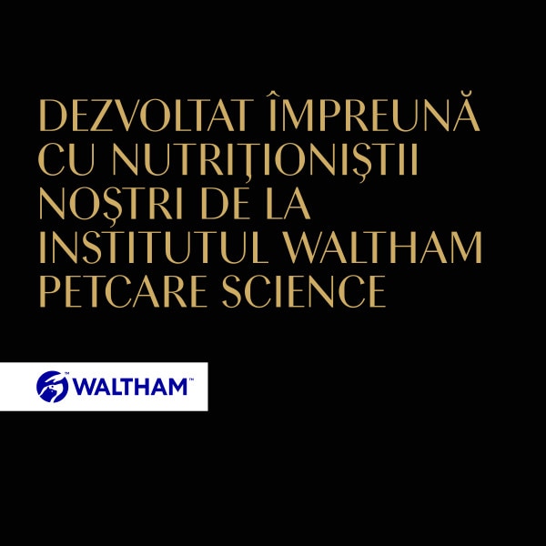 Hrana umeda pentru pisici, Sheba Delikatesse, Selectii de pasare in ...