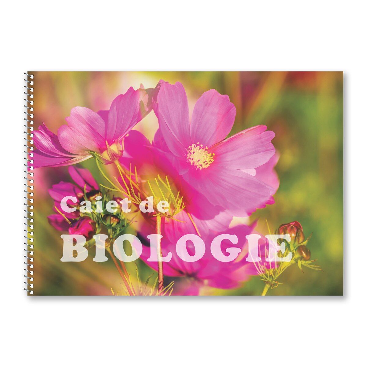 Caiet biologie A4, 32 file, spira - eMAG.ro