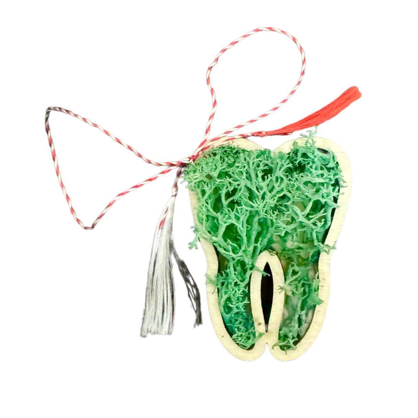 Martisor Masea Dinte cu licheni stabilizati Hand-Made - eMAG.ro