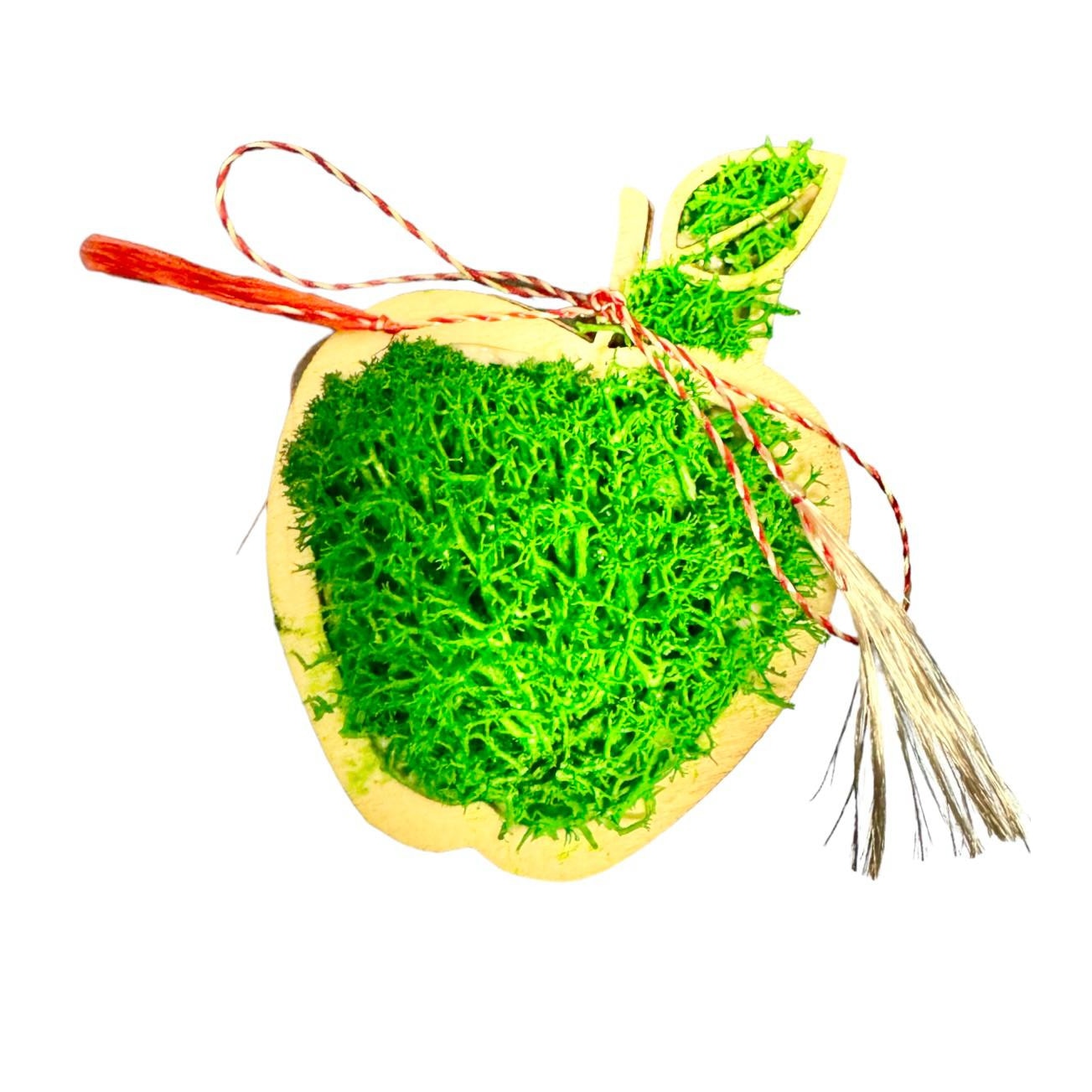 Martisor Mar - tisor cu licheni stabilizati Hand-Made - eMAG.ro