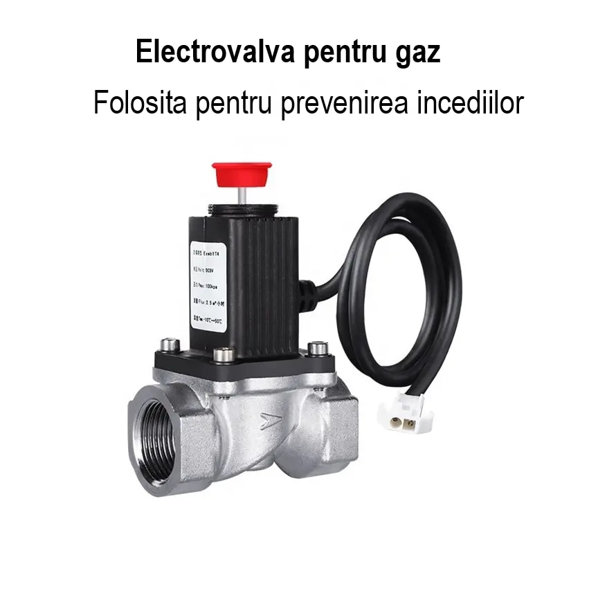 Kit detector gaze naturale, GPL si gaze de carbune 220V cu electrovalva ...