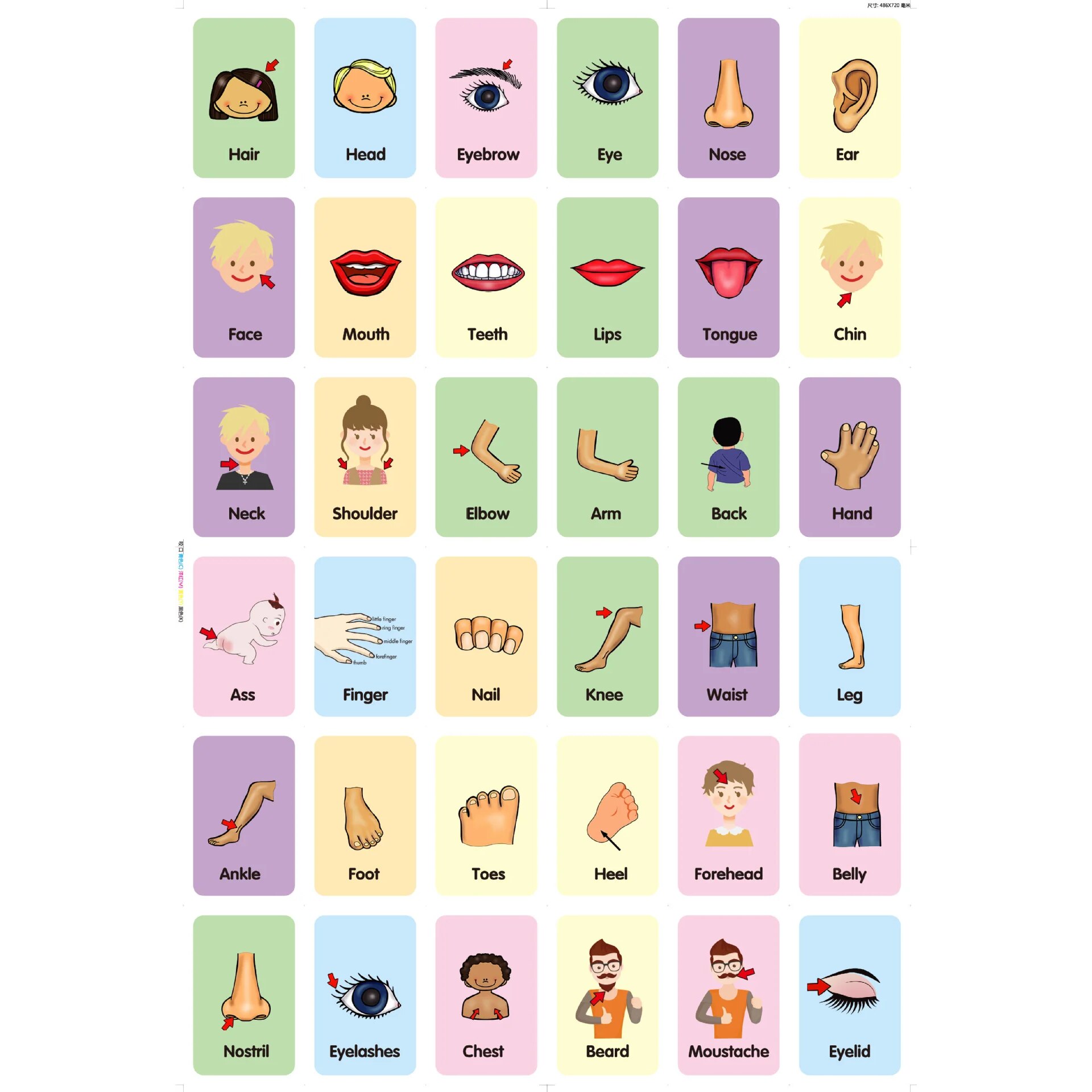 Set 36 de carduri cu 72 de imagini educative KERNOWSUN pentru invatarea ...