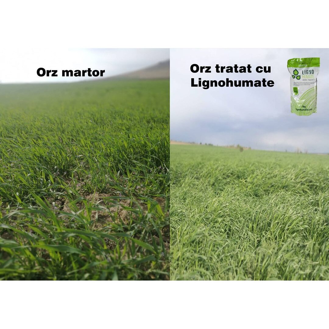 Biostimulator humic, Lignohumate, Antistresant, Regulator de crestere ...