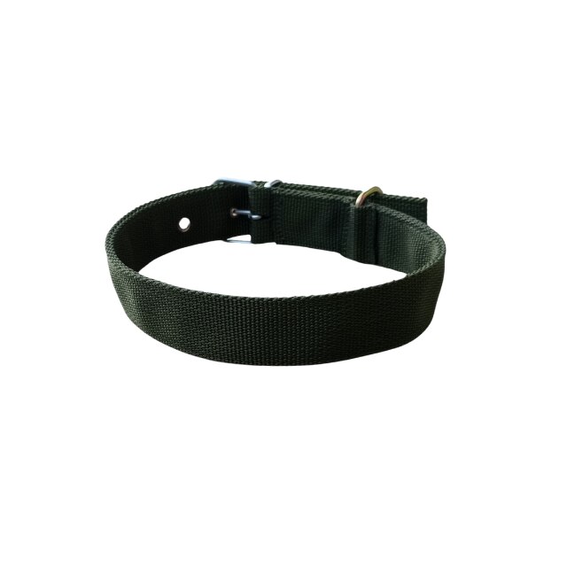 Zgarda verde inchis din maretial textil, 4 cm, pentru caini - eMAG.ro