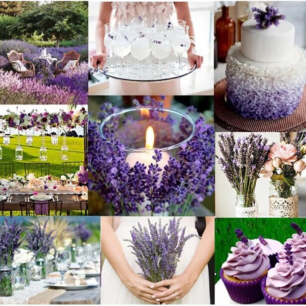 Set 5 saculeti cu lavanda organica, Miros puternic, Bio, 40g - eMAG.ro