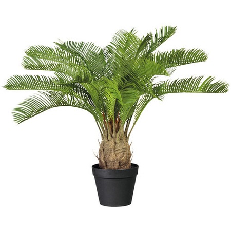 Palmier Artificial Cycas Revoluta H 60 Cm Verde - eMAG.ro