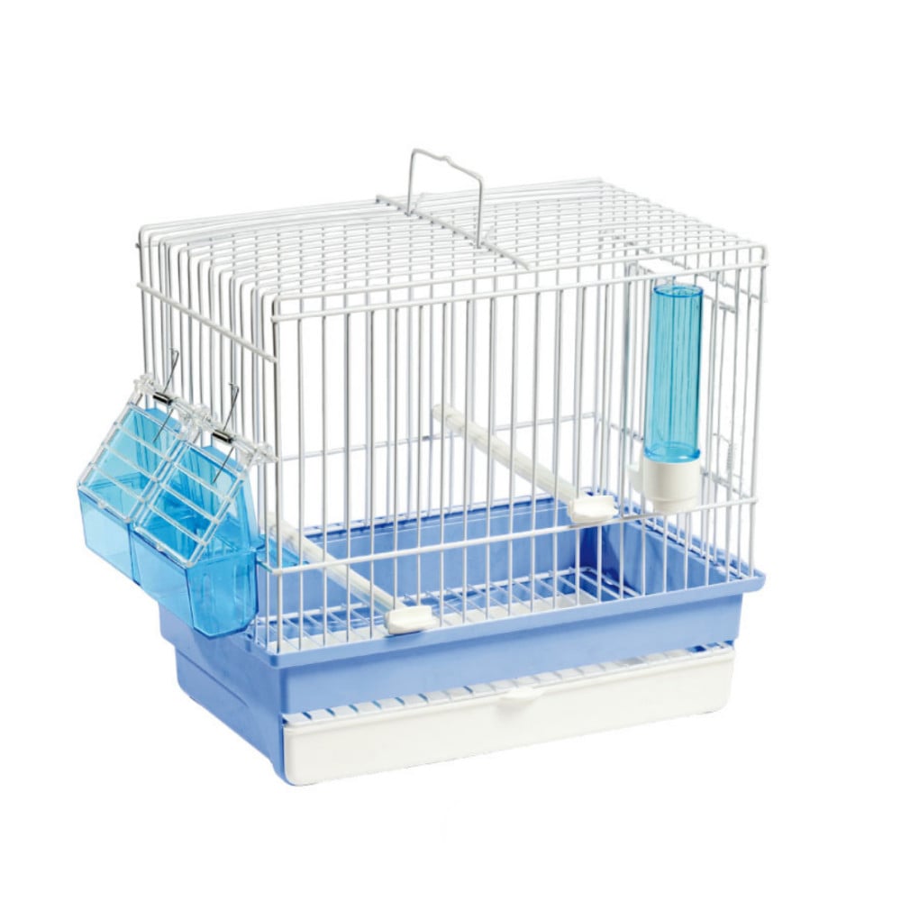 Colivie sticleti, canari, Cardellina Alb-Albastru - eMAG.ro