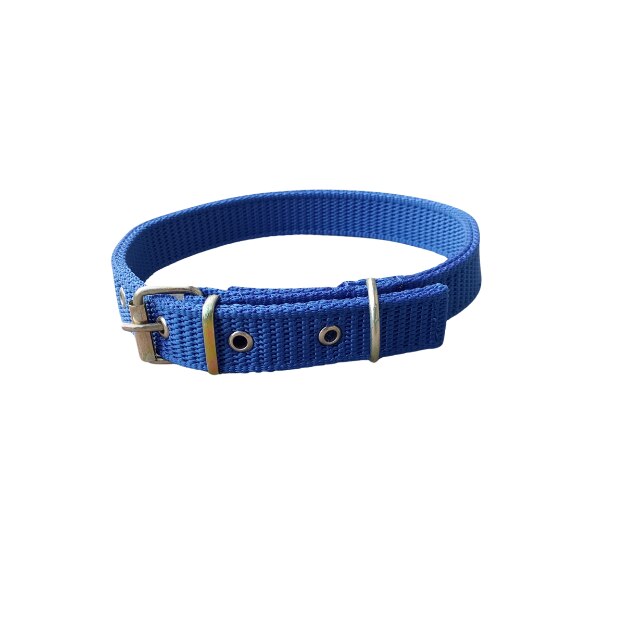 Zgarda albastra din material textil, 2.5 cm, pentru caini - eMAG.ro