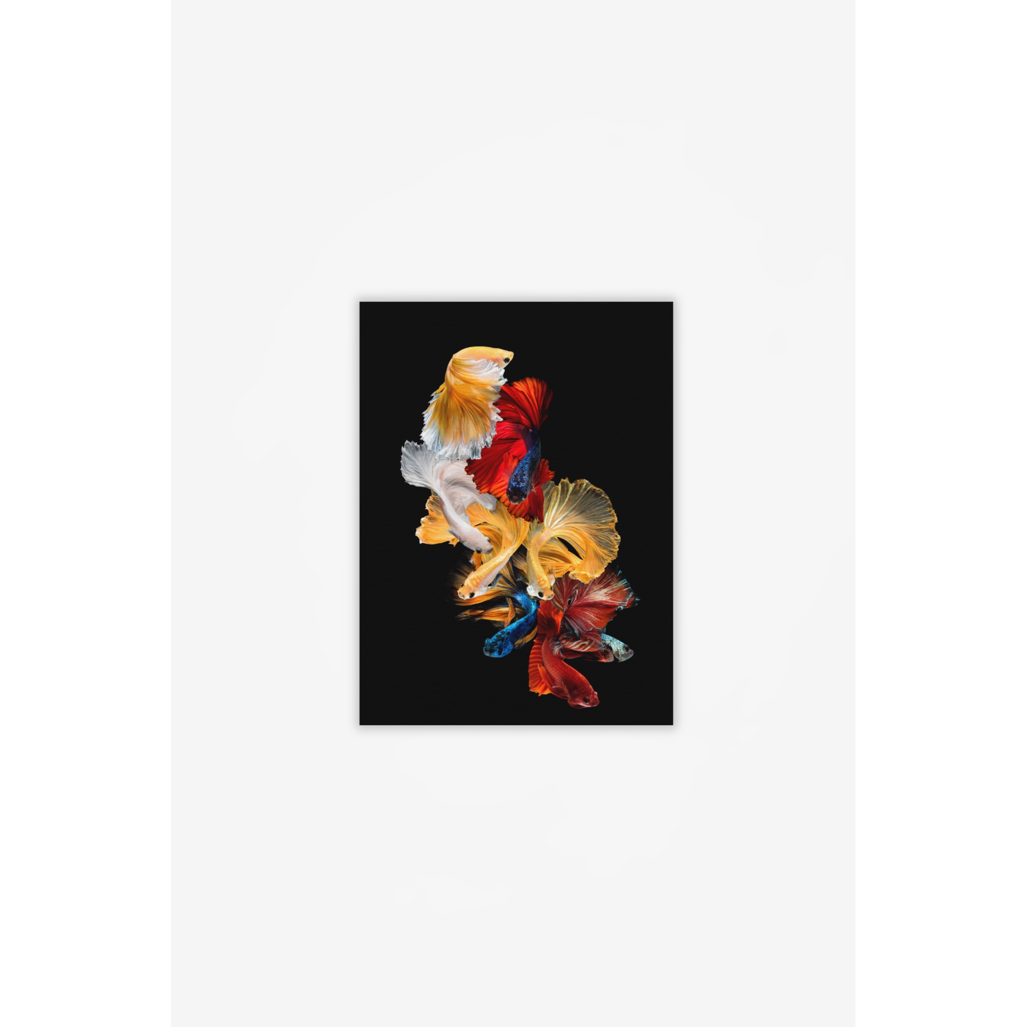 Tablou abstract imprimat cu cerneala UV, 37x25cm, pesti colorati E006 ...
