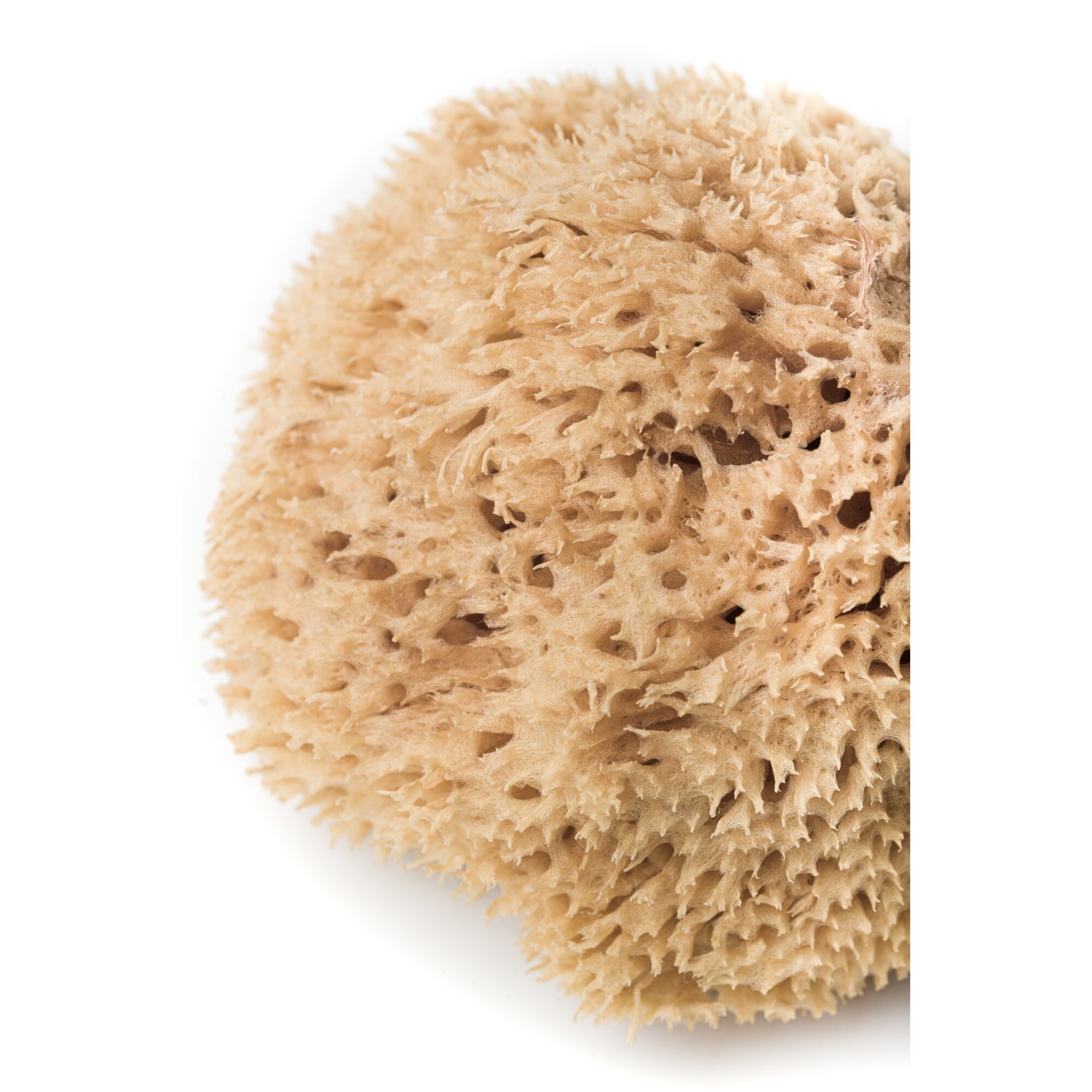 Burete natural de mare - eMAG.ro