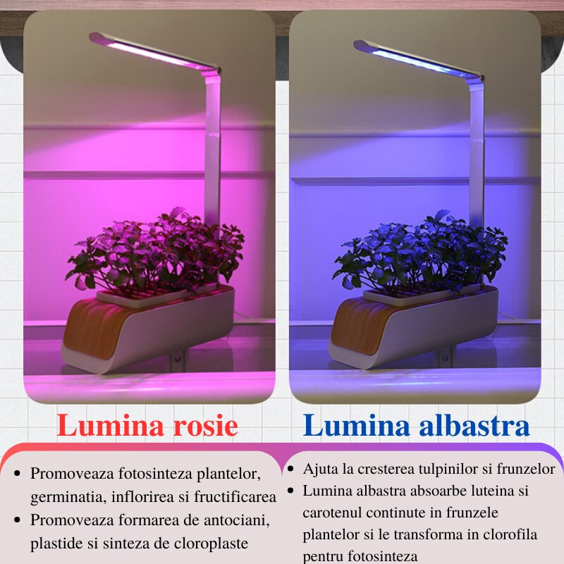 Ghiveci de plante inteligent BLOOMANT pentru flori, fructe si legume ...
