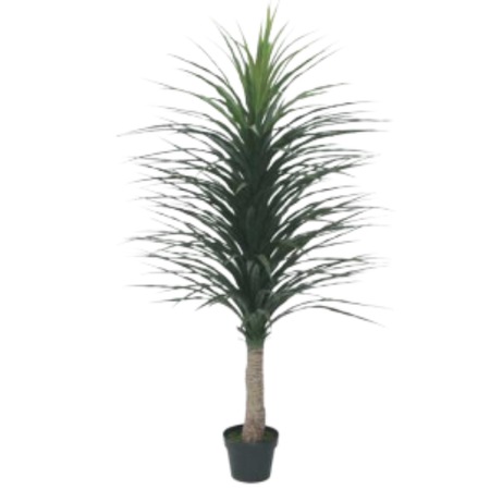 Pom artificial, copac Nolina Recurvata cu aspect natural, 150 cm - eMAG.ro