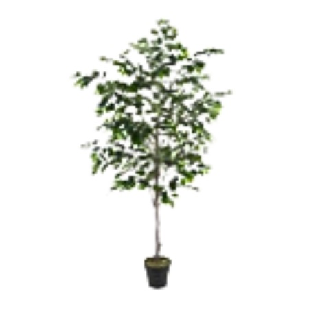 Pom artificial, copac Ficus cu aspect natural, 180 cm - eMAG.ro