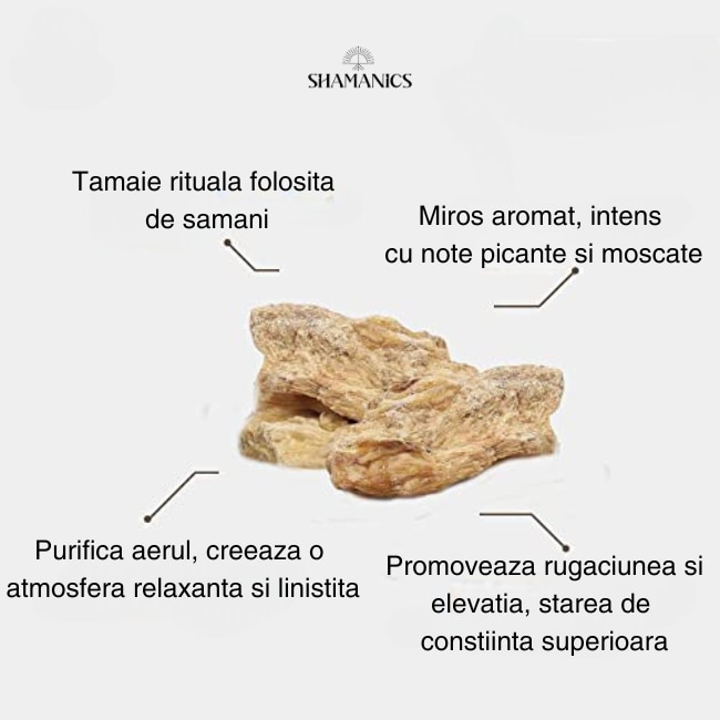Tamaie naturala sal, shorea robusta, tamaia samanilor, 100 grame - eMAG.ro