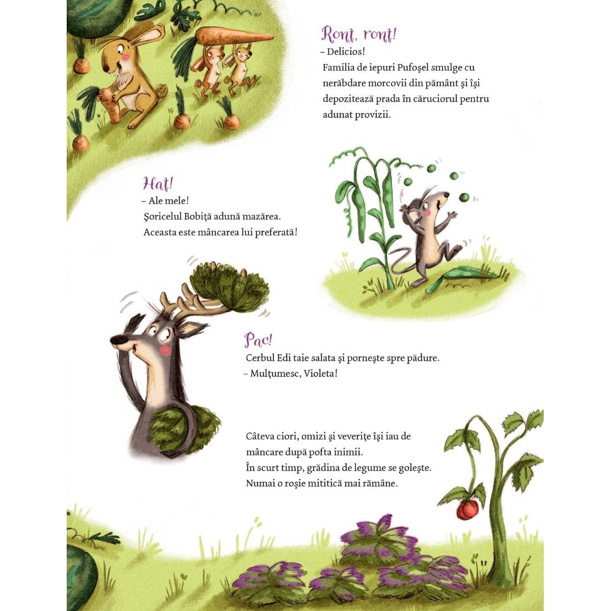 Violeta, micuta vrajitoare de gradina, Barbara Rose, Marta Balmaseda ...