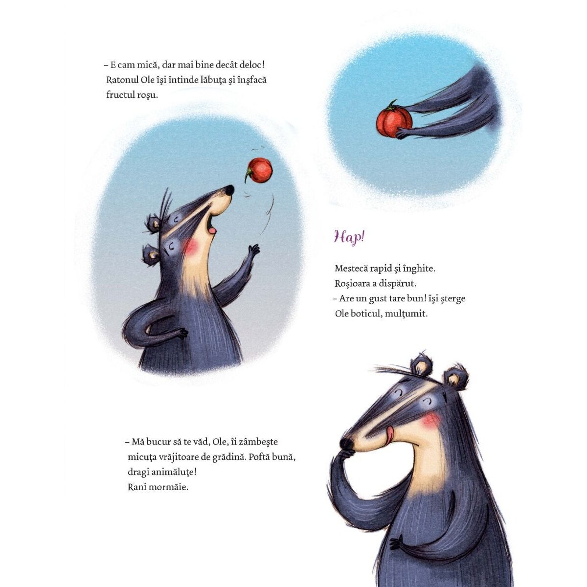 Violeta, micuta vrajitoare de gradina, Barbara Rose, Marta Balmaseda ...