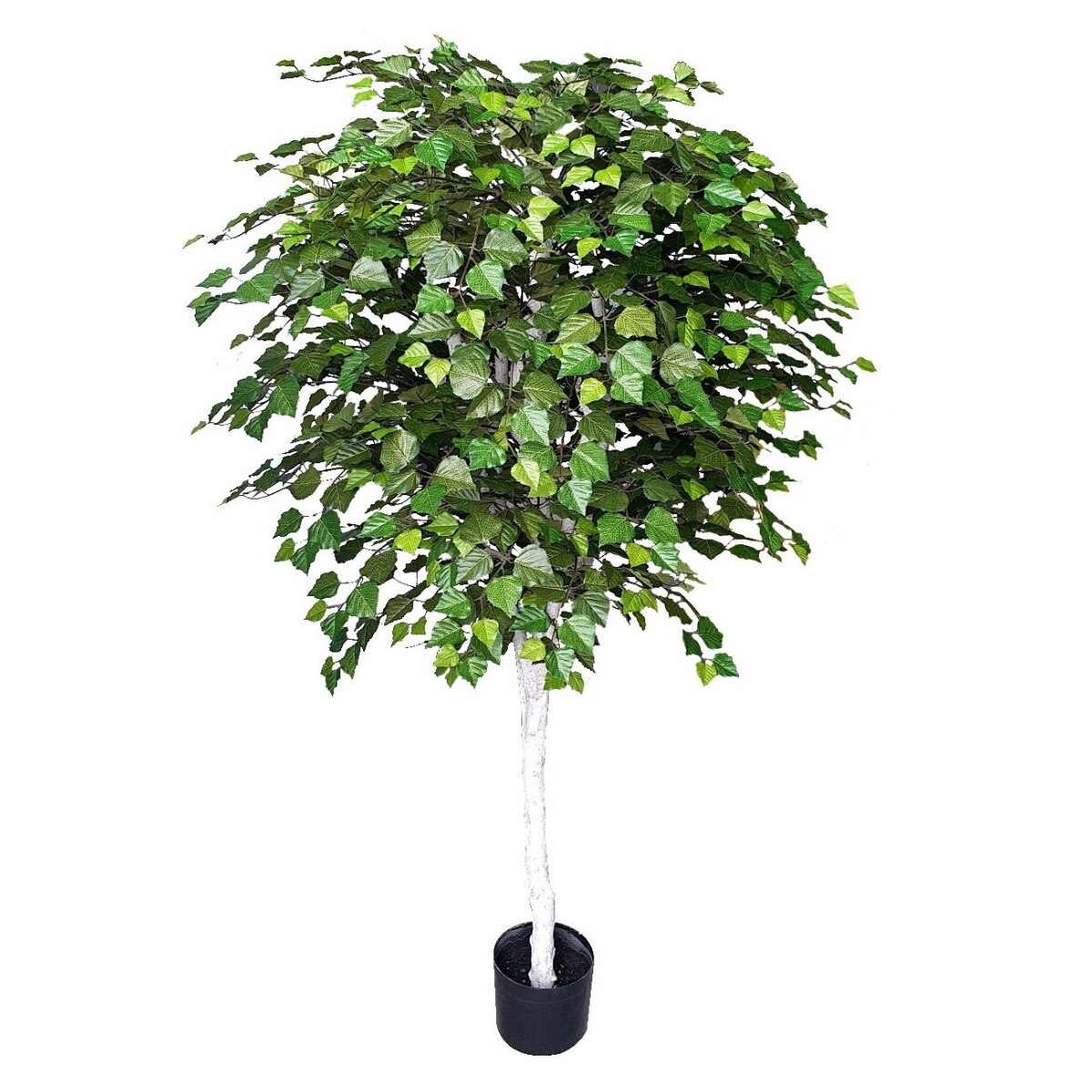Planta decorativa artificiala Mesteacan in ghiveci inaltime 260 cm ...