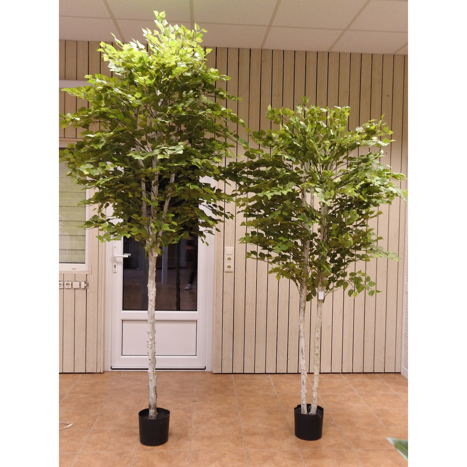 Planta decorativa artificiala Mesteacan in ghiveci inaltime 260 cm ...