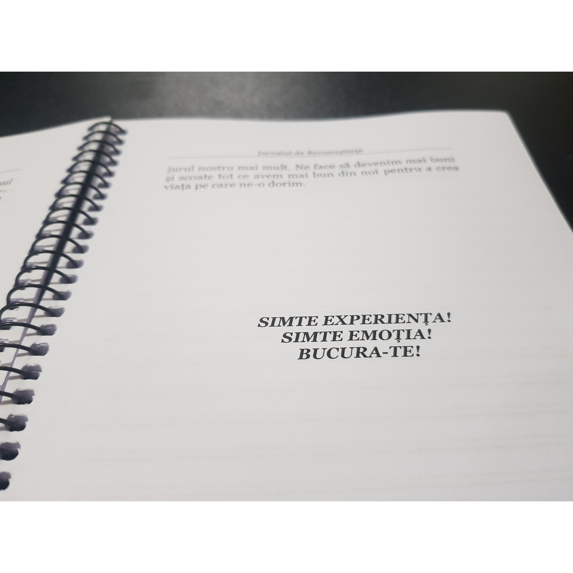 Jurnalul De Recunostinta - A5 - Laurentiu Florea - eMAG.ro