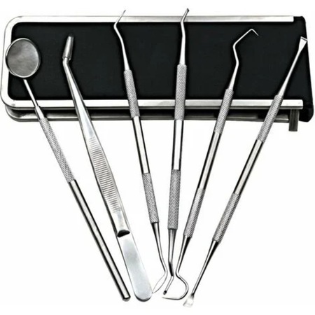 Set instrumente igiena orala, Inox, 6 piese, Argintiu/Negru - eMAG.ro