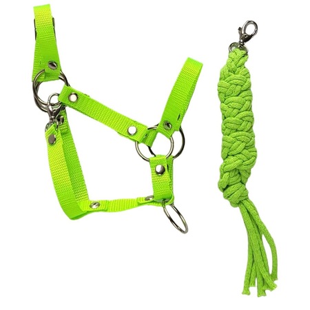 Set capastru/franghie impletita pentru cal de jucarie, Super Hobby ...