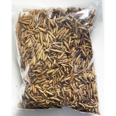 Сушени ларви на Hermetia, Balmax, 500гр - eMAG.bg