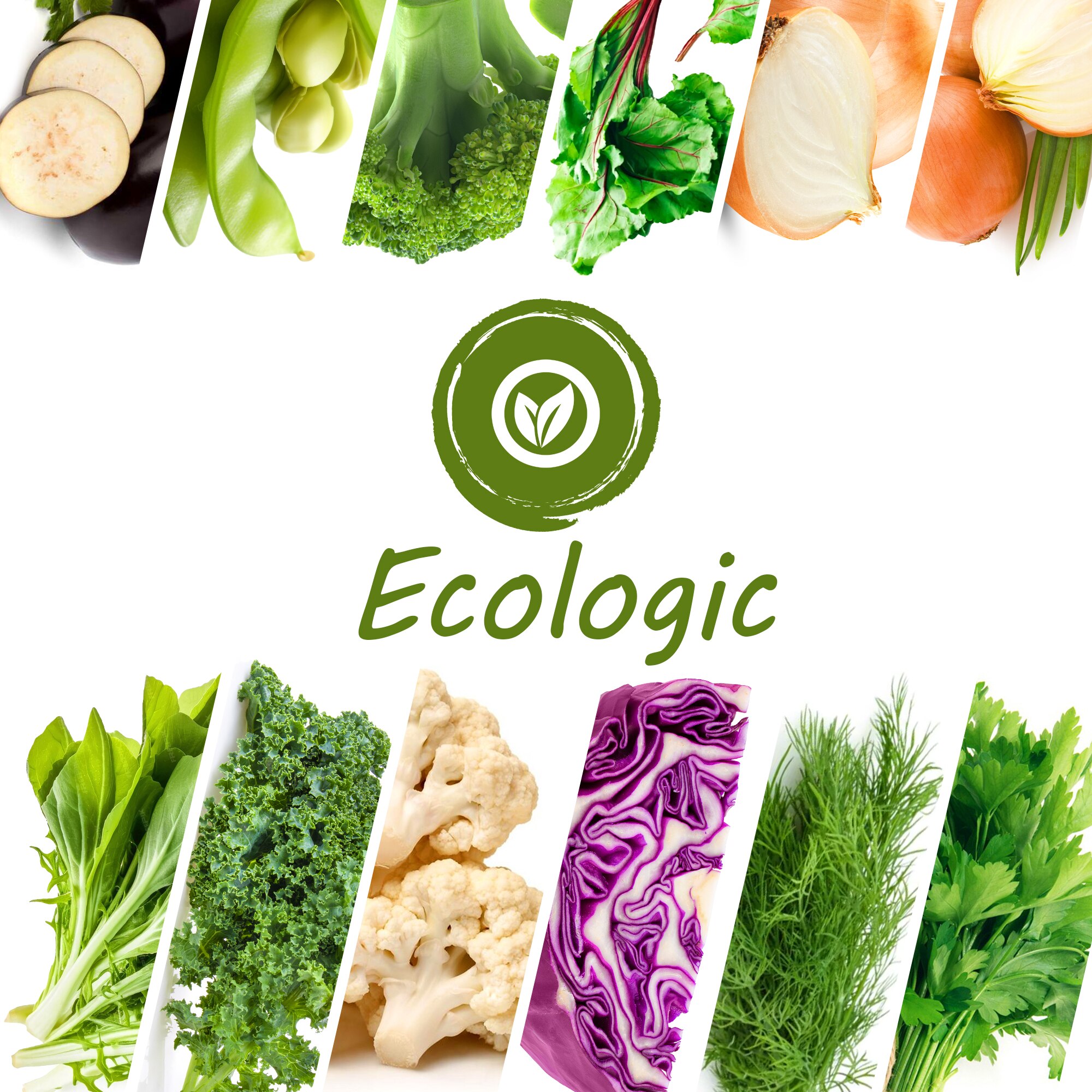 Set de seminte fructe legume, vinete, fasole lata, brocoli, sfecla ...