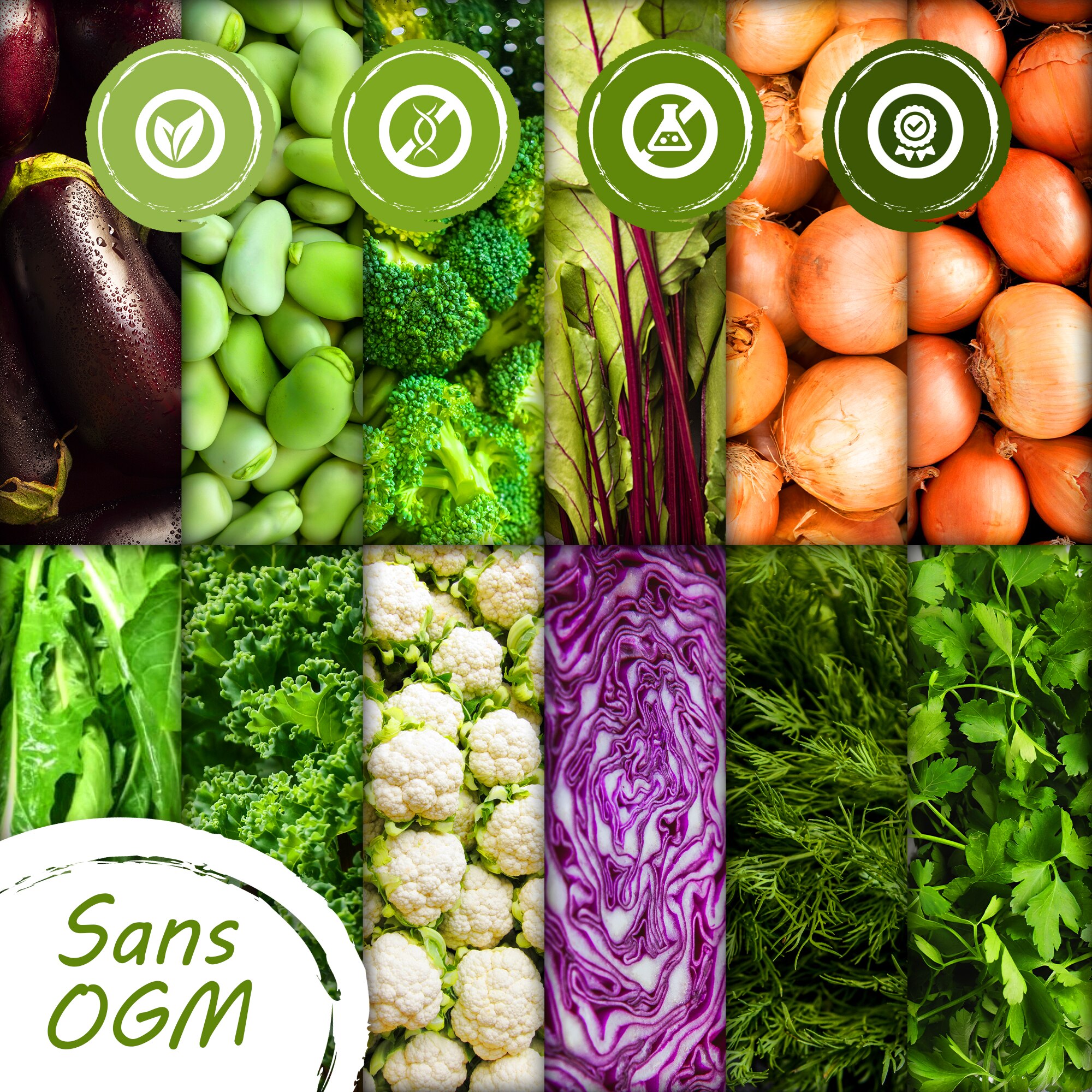 Set de seminte fructe legume, vinete, fasole lata, brocoli, sfecla ...