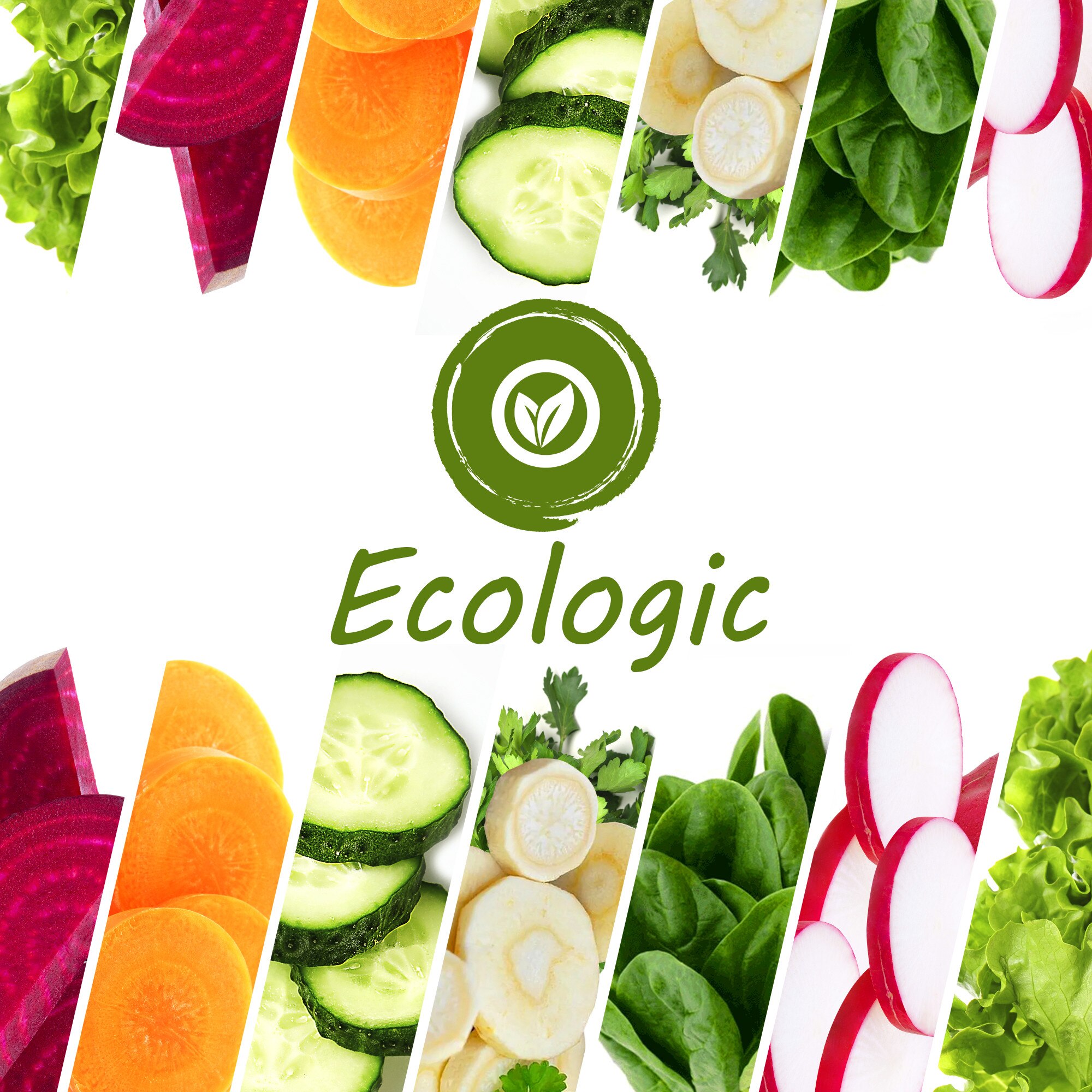 Seminte de legume morcov patrunjel laptuca sfecla rosie ridichi 7 ...