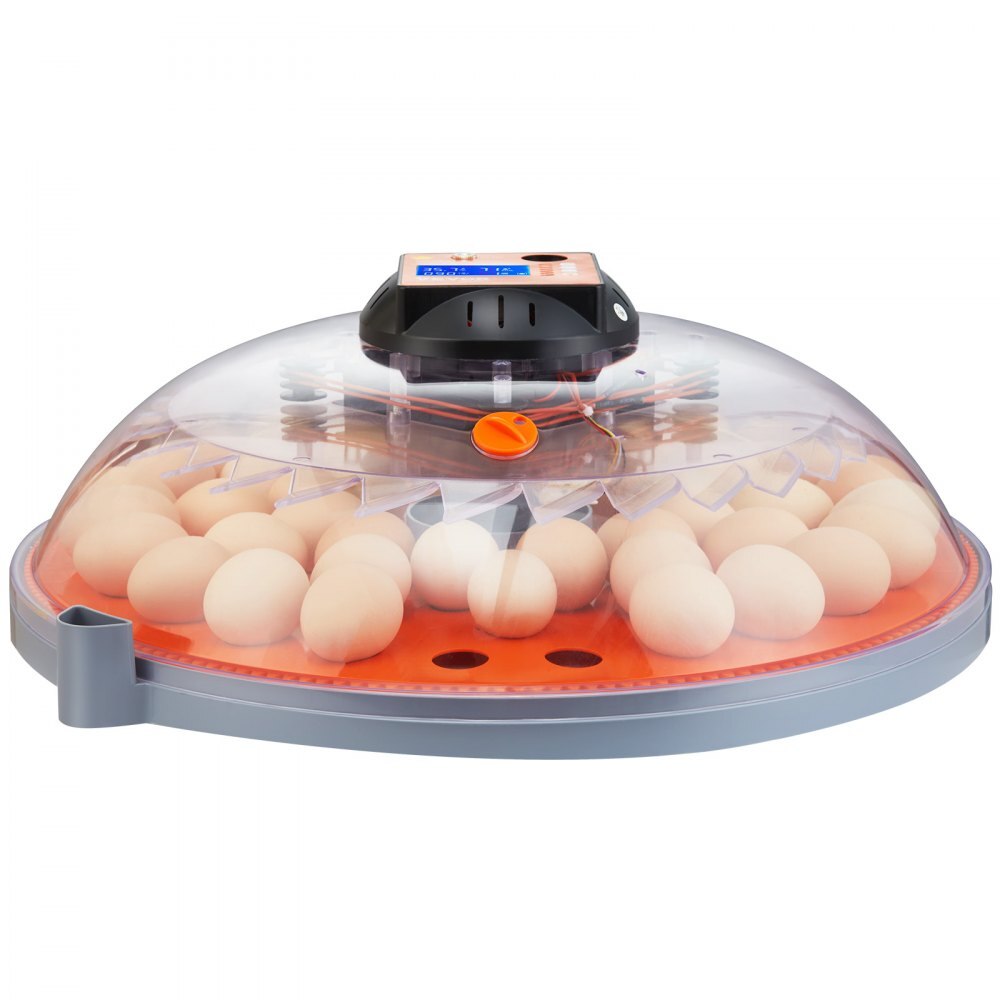 Incubator Automat de Oua, 12V, 5A, Senzor Integrat de Temperatura si ...