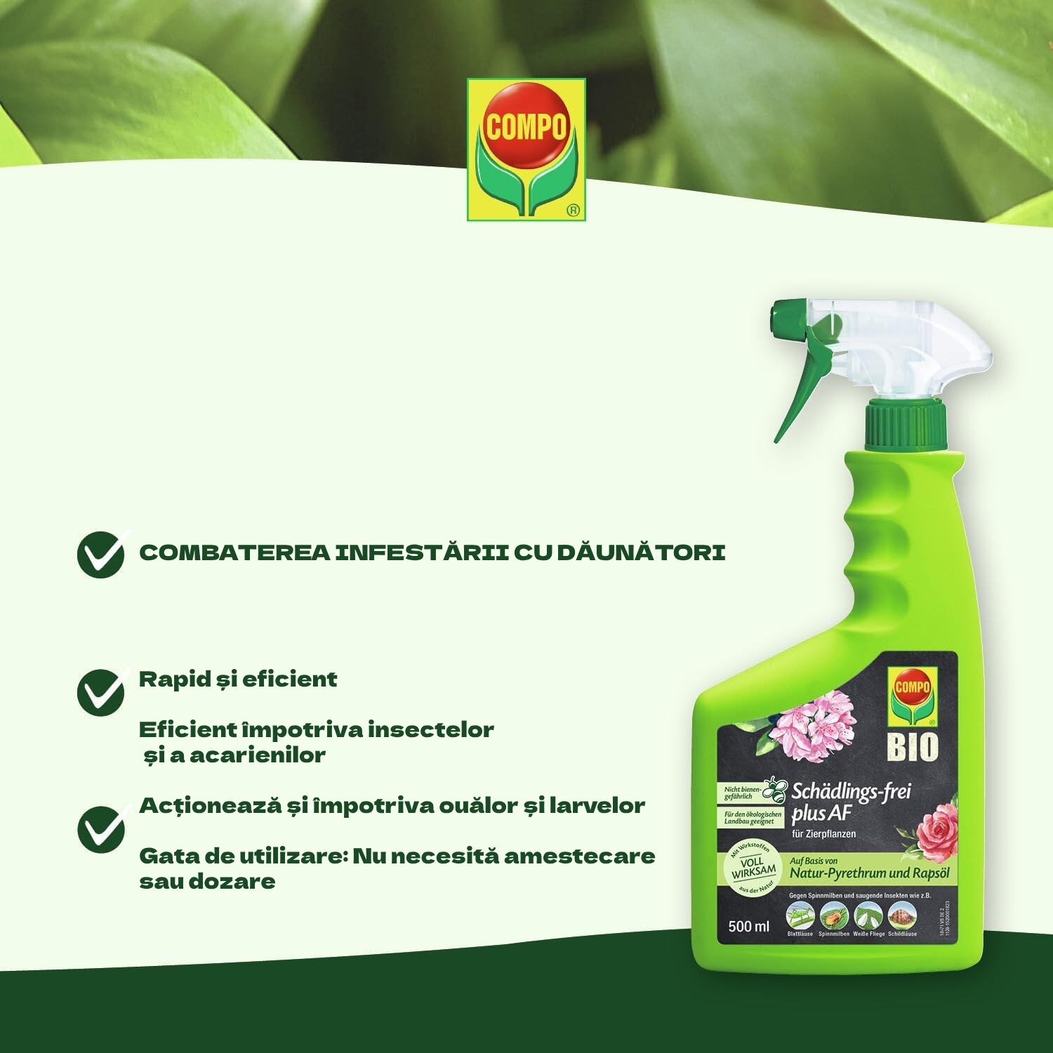 Insecticid al daunatorilor pe plante ornamentale Compo, legume si ...