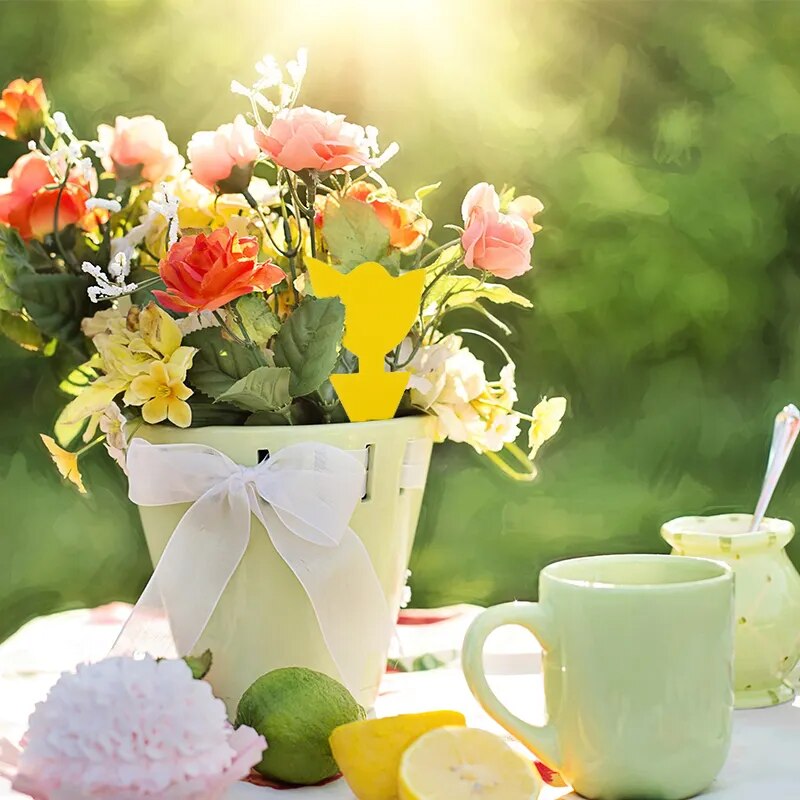 Set 12 Capcane Cu Lipici Anti-Insecte Butterfly, Impotriva mustelor ...