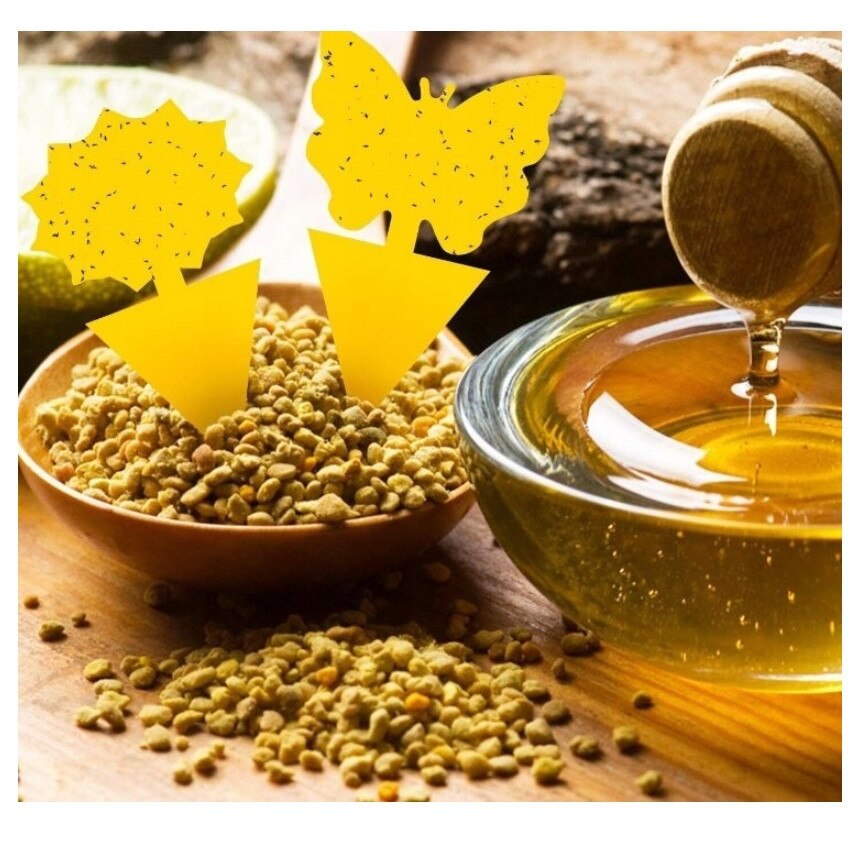 Set 12 Capcane Cu Lipici Anti-Insecte Butterfly, Impotriva mustelor ...