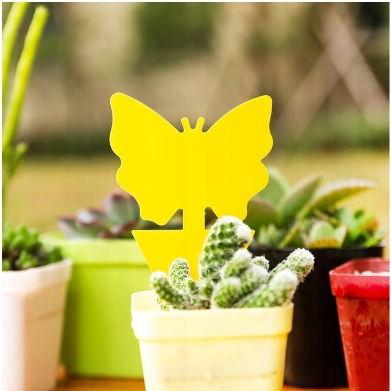 Set 12 Capcane Cu Lipici Anti-Insecte Butterfly, Impotriva mustelor ...