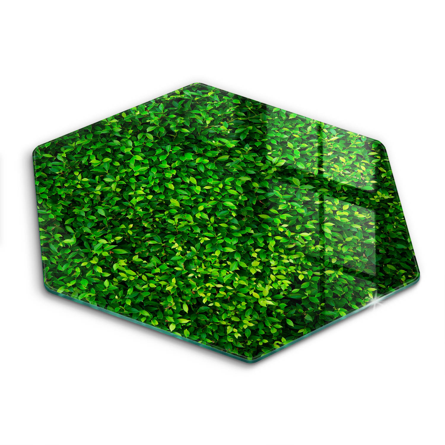 Tocator de bucatarie, Wallfluent, din sticla, h40 cm, Planteaza frunze ...