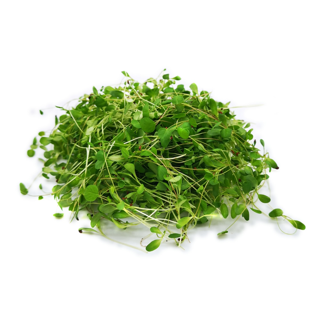Seminte de lucerna - pentru microplante, 100 grame - eMAG.ro