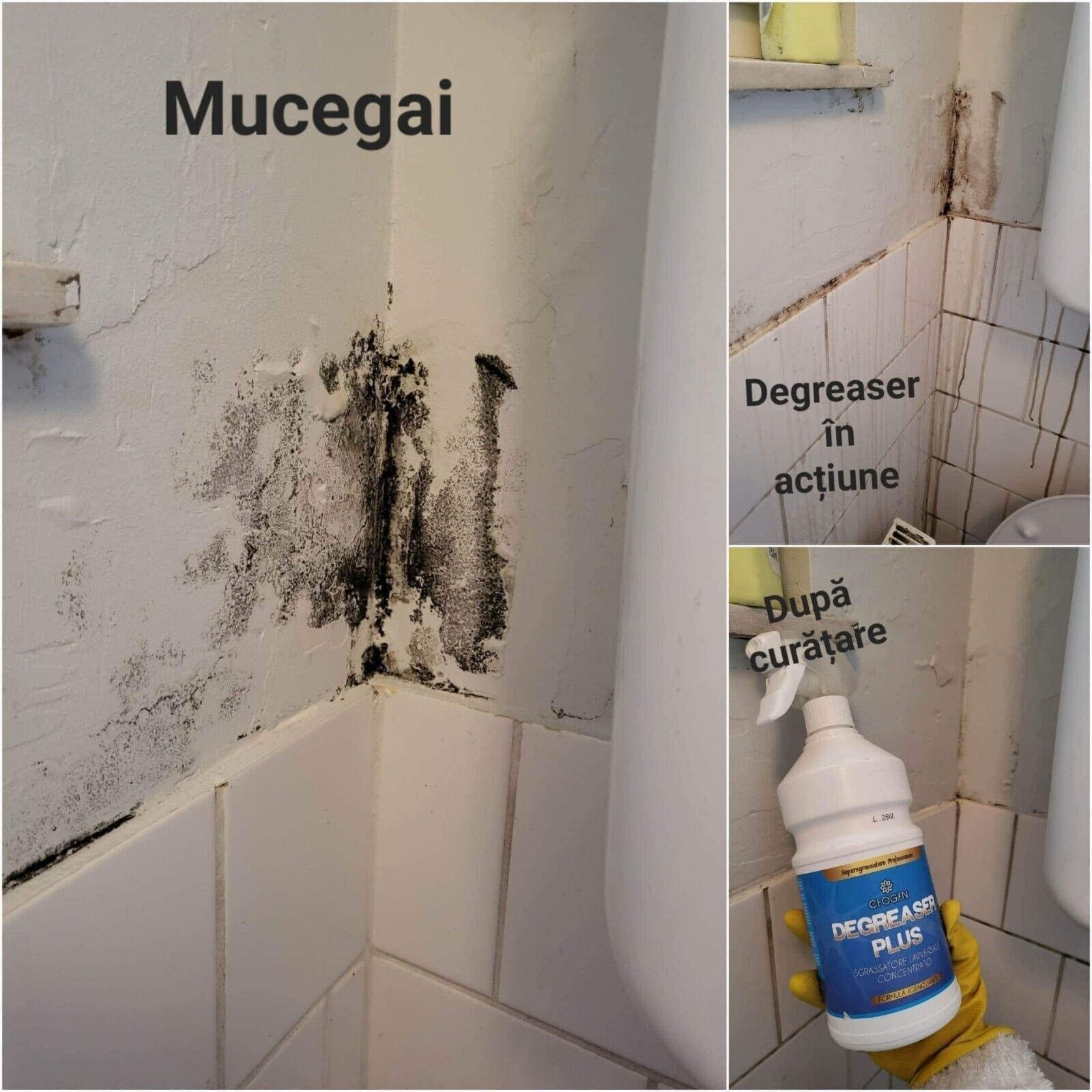 Detergent universal, DEGREASER PLUS, CHOGAN, 750ml - eMAG.ro