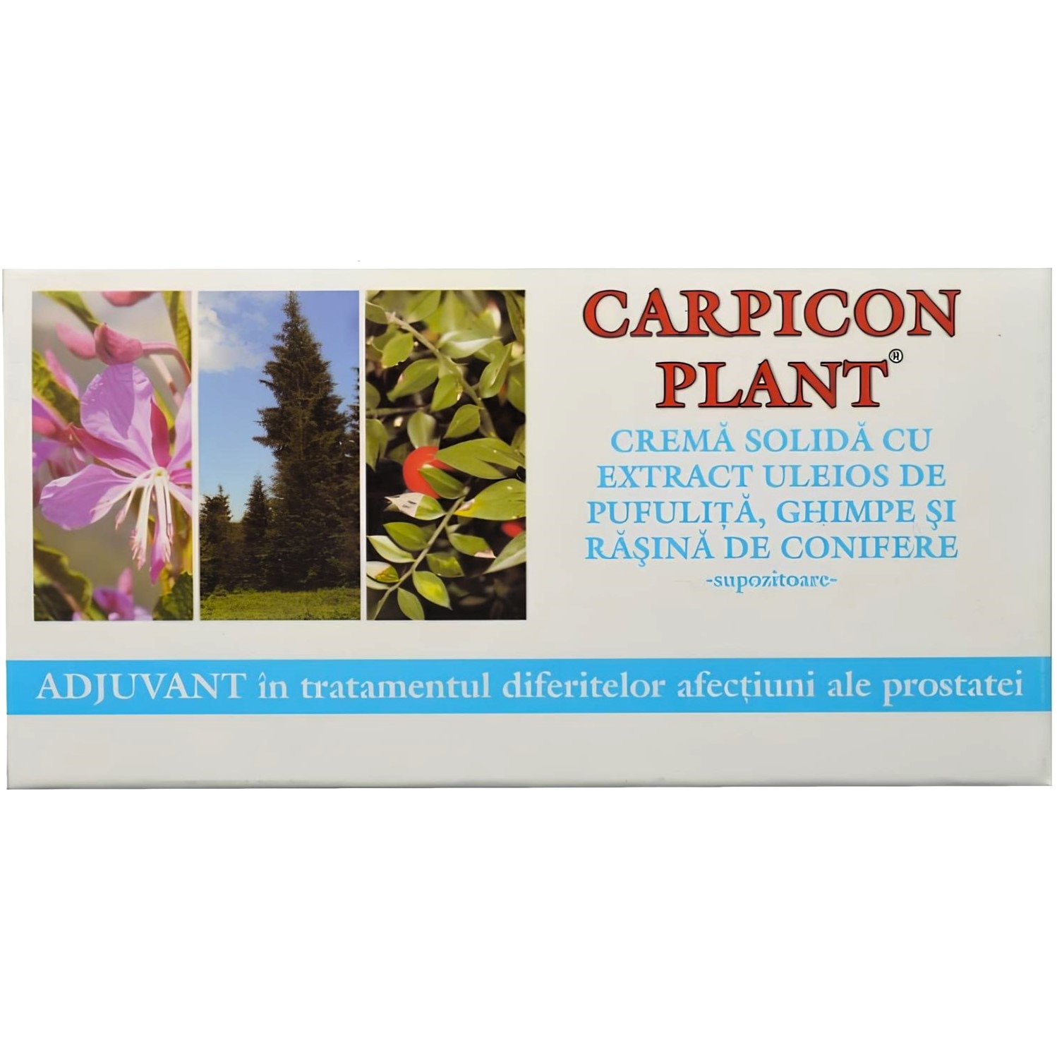 Supozitoare Carpicon Plant, adjuvant in tratamentul afectiunilor renale ...