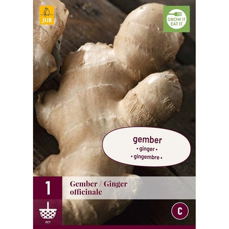 Rizom de radacina, Ghimbir Ginger Officinale, Jub Holland, 1 buc - eMAG.ro