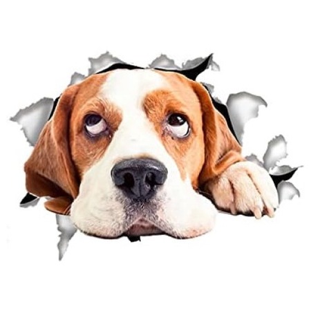 Sticker Decorativ, Caine 3D - Enz Shop - eMAG.ro