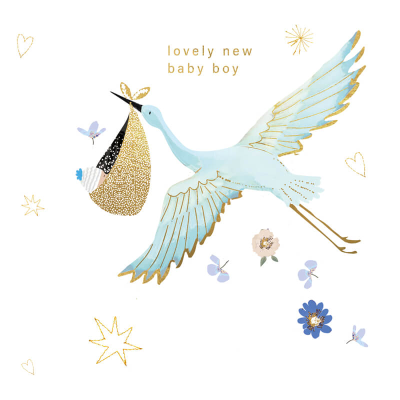 Felicitare din carton 15x15 cm Lovely Baby Boy model barza Hammond ...
